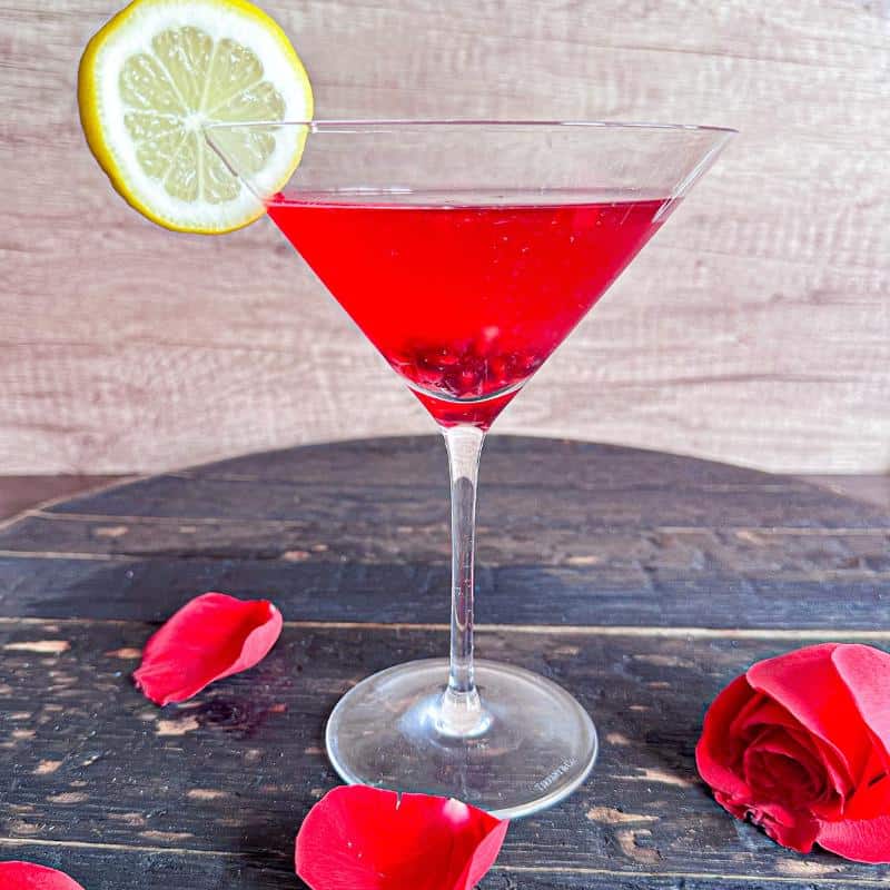 20+ Martini Recipes You Need To Try!